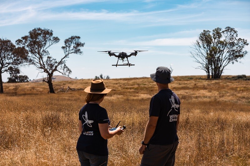 Wildlife Drones: Drone Radio-Tracking for Conservation | Commercial UAV ...