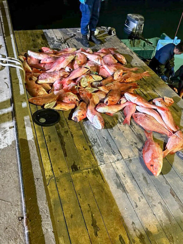 Coast Guard seizes 1,595 pounds of illegal red snapper | National Fisherman