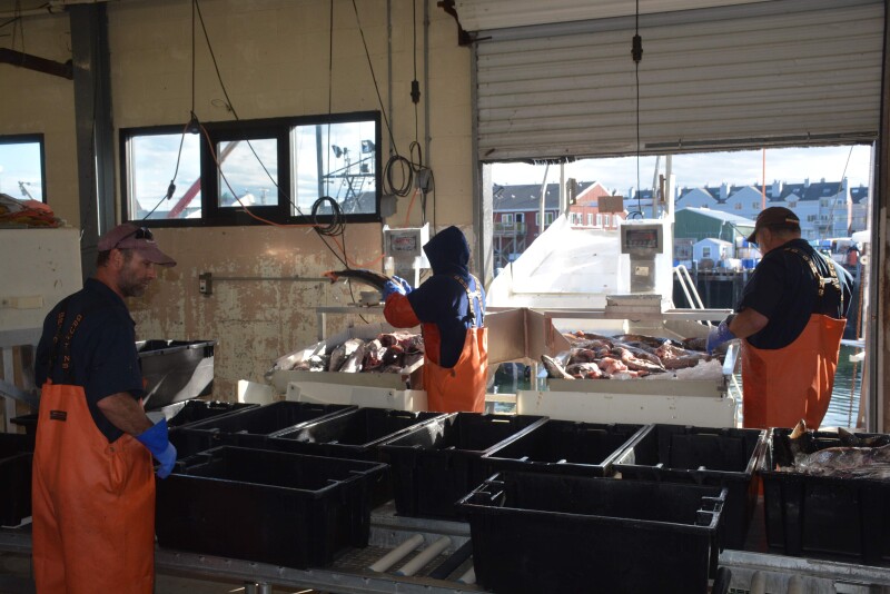 Fish Exchange and Fish Pier Authority merger approved | National Fisherman
