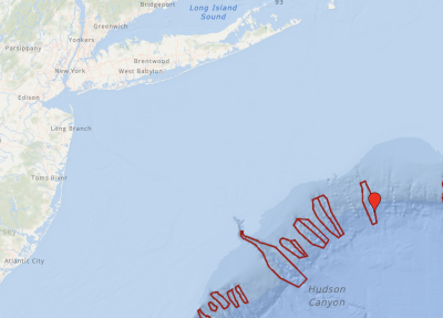 North Atlantic right whales clustered in New York Bight | National ...