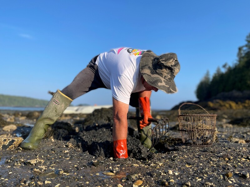 Generations of Lubec clammers sustain timeless traditions | National ...