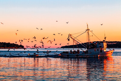 NOAA ships locate wreck of F/V Destination | National Fisherman