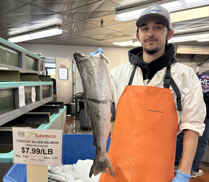 Alaska salmon harvests near 185 million fish | National Fisherman