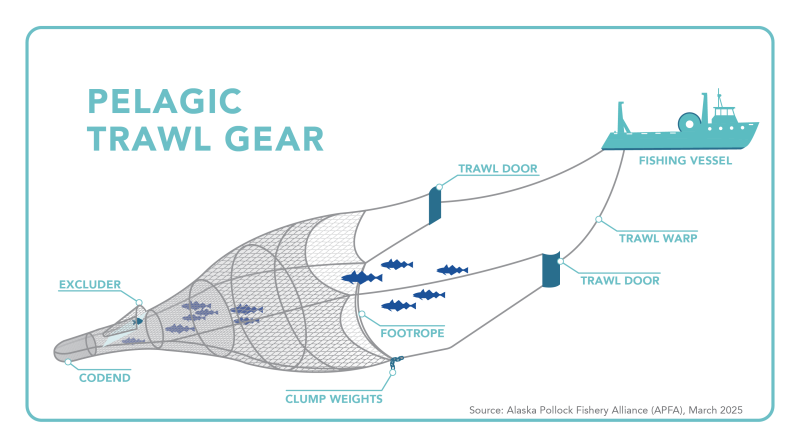 Alaska’s pollock industry looks to get to the bottom of a rising ...