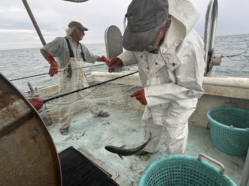 Carolina fishermen get home with a little help from friends | National ...