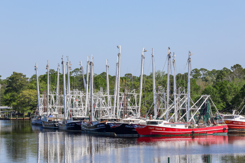 Mobile County awards contract for Bayou La Batre City Docks ...