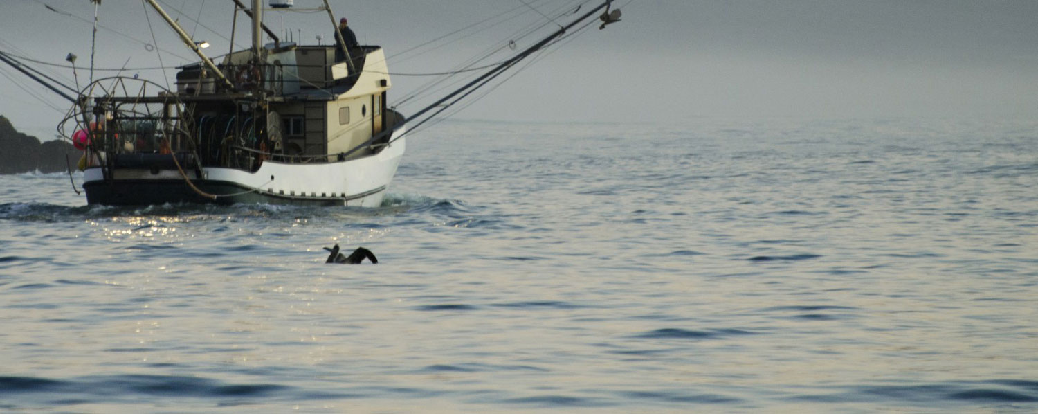 Download the National Fisherman Brand Media Kit and Exhibiting ...