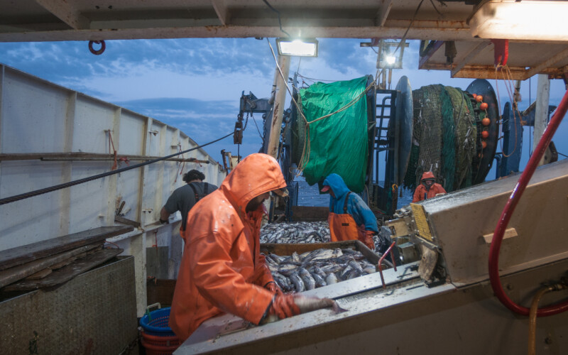 Canada, U.S. fail to reach agreement on quota for shared haddock stock ...