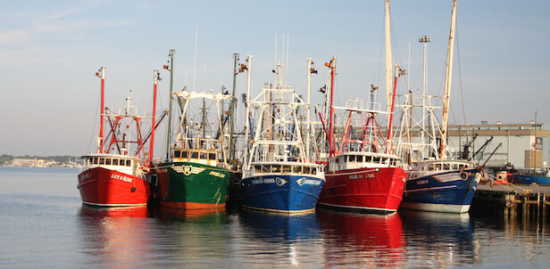 NMFS: Northeast groundfish will open May 1 | National Fisherman