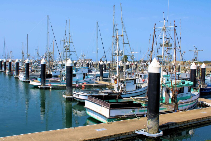 Senate Farm Bill proposal boosts seafood priorities | National Fisherman