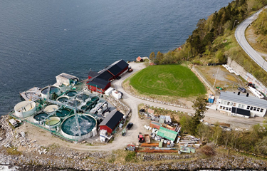 Salmon Evolution snaps up smolt producer Kraft Laks AS | SeafoodSource