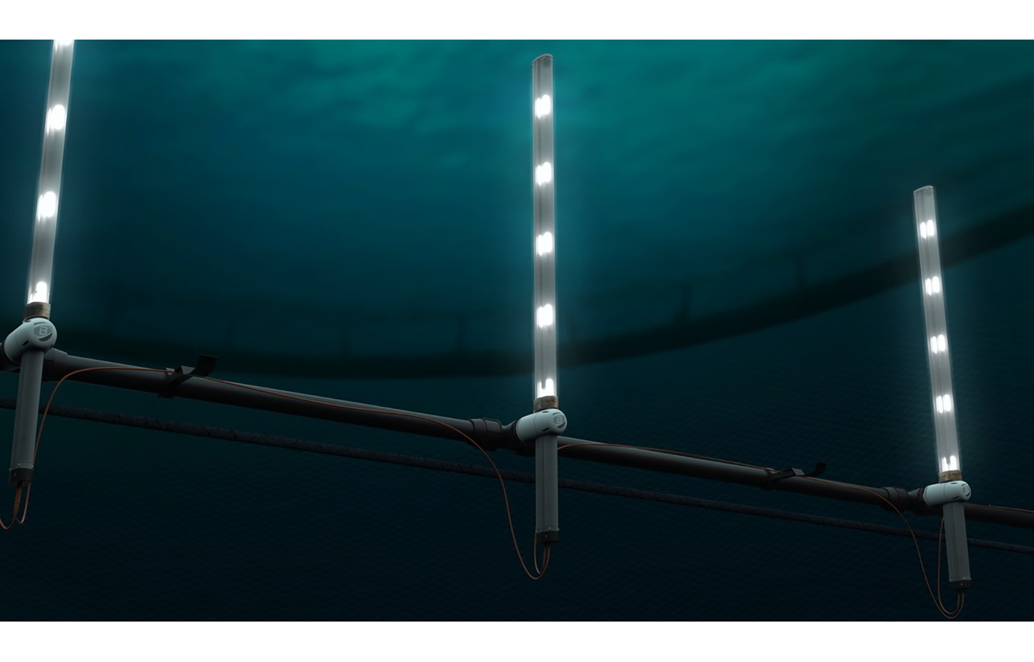 Blue Lice’s innovative early sea lice interception tech reduces ...