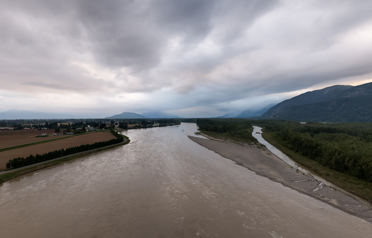 Study of Fraser Chinook salmon finds presence of contaminants ranging ...