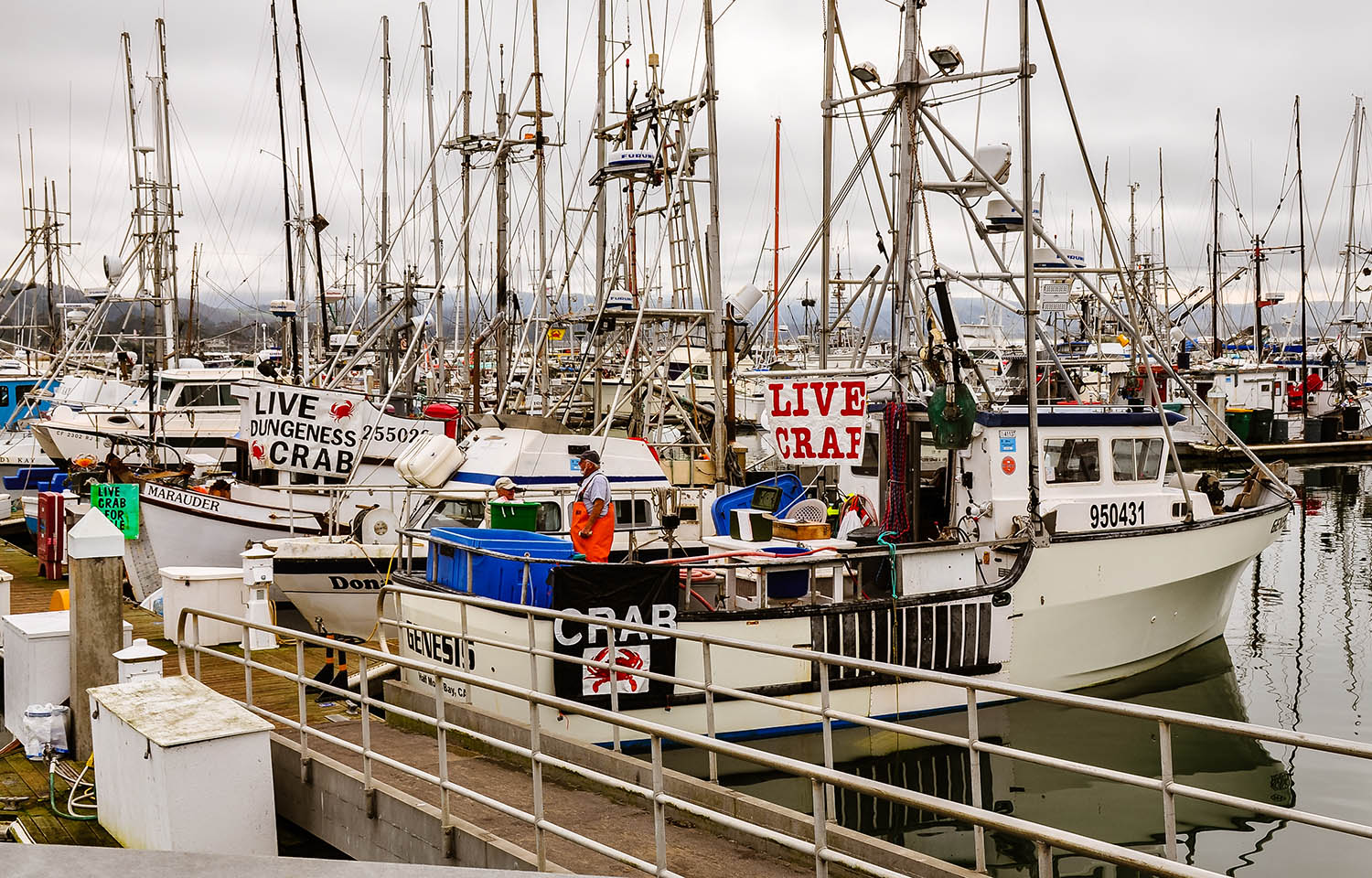 California's southern Dungeness crab season set to kick off 5 January ...