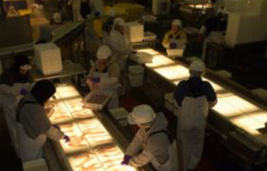 UniSea’s Unalaska plant locked down after COVID-19 outbreak | SeafoodSource