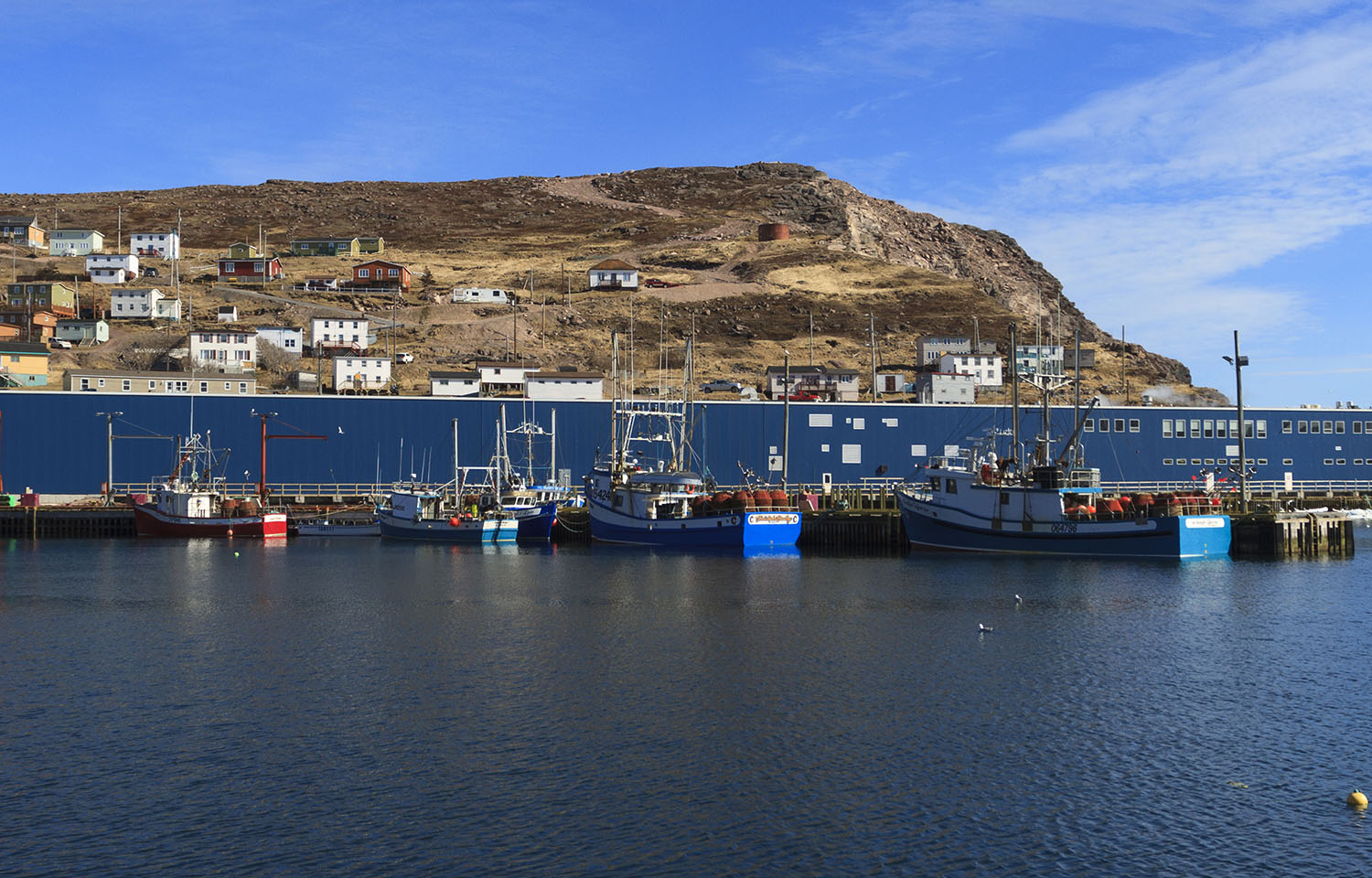 Newfoundland seafood processors sue harvester union leadership over ...