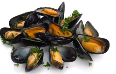 EU mussel production falling further behind world leader, imports ...