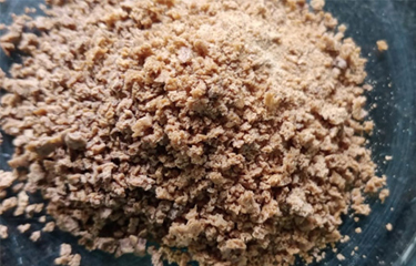 Skretting Australia begins String Bio Pro DG aquafeed trial | SeafoodSource