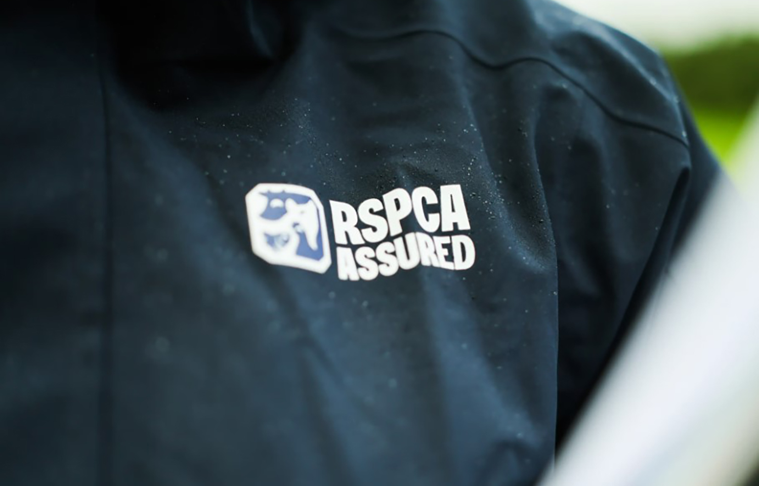 RSPCA Assured rebrands, reveals new logo | SeafoodSource