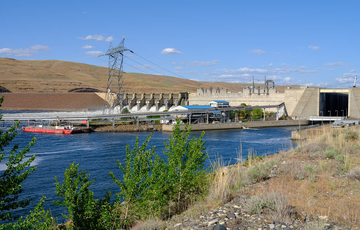 US lawmakers debate future of Lower Snake River dams and salmon ...