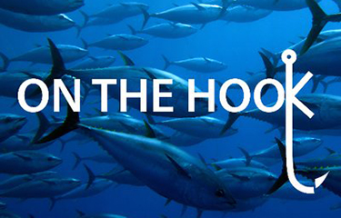 MSC says On The Hook report misrepresents the program | SeafoodSource