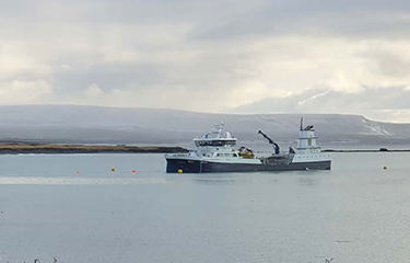 Ice Fish Farm confirms presence of ISA at two sites | SeafoodSource