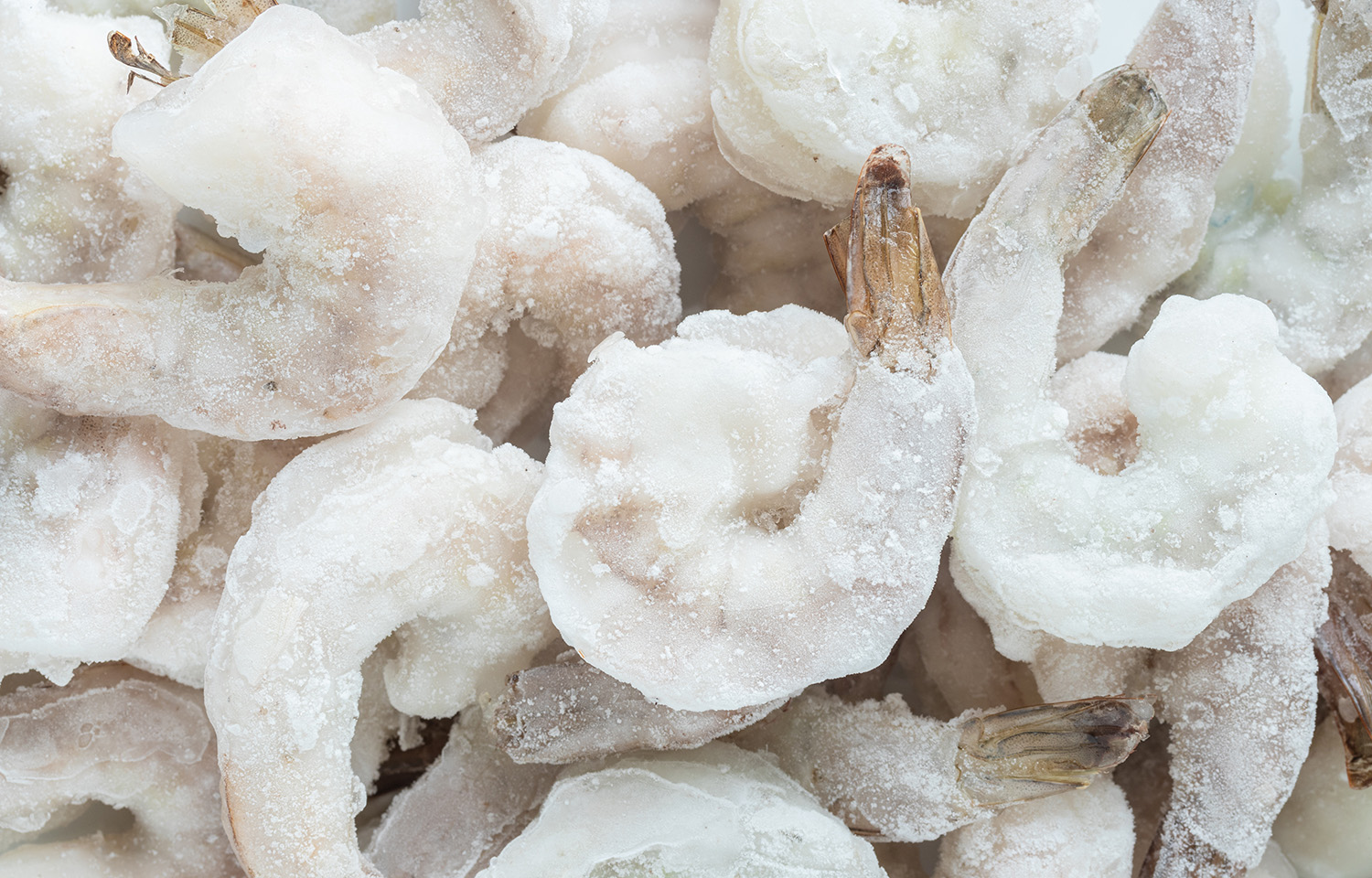 2025 US shrimp import data shows stark tariff impacts | SeafoodSource