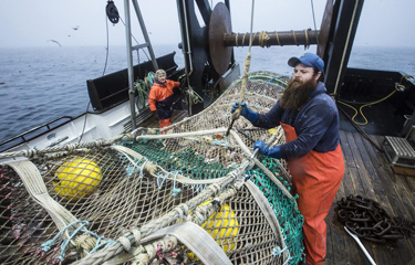 NOAA’s Paul Doremus: Seafood aligns well with Biden’s sustainability ...
