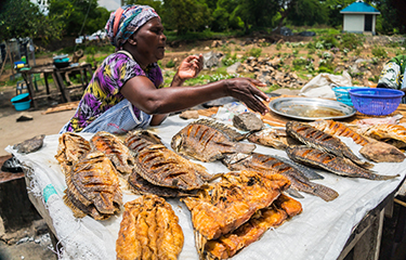 East Africa fish farming project supports food security, mitigates ...