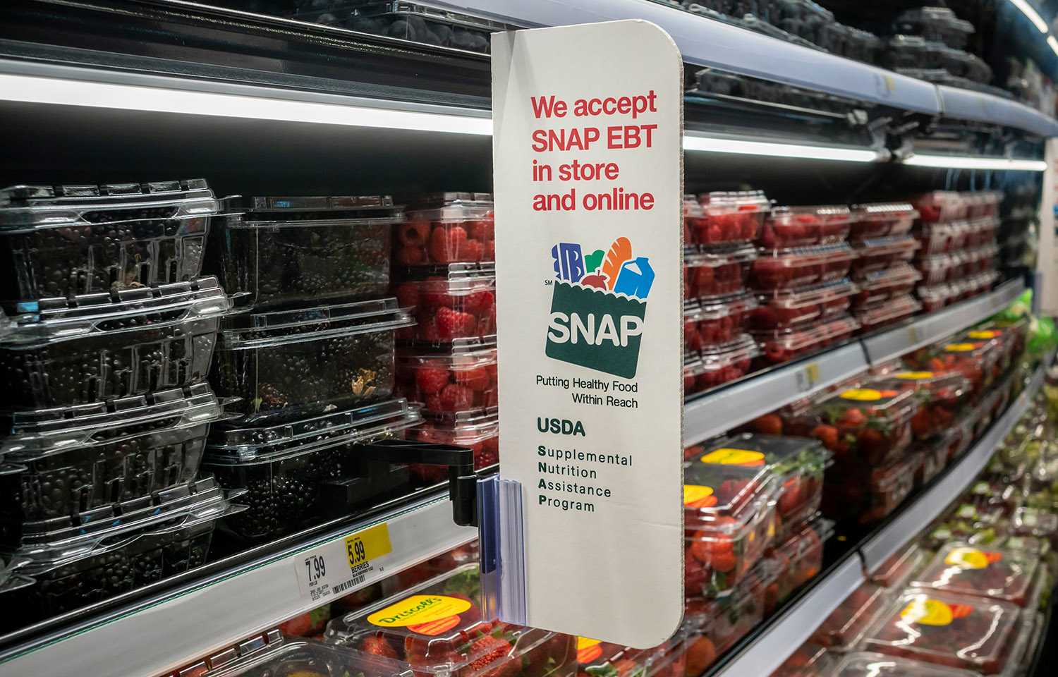 SNAP benefits set to expire, but US judge may intervene | SeafoodSource