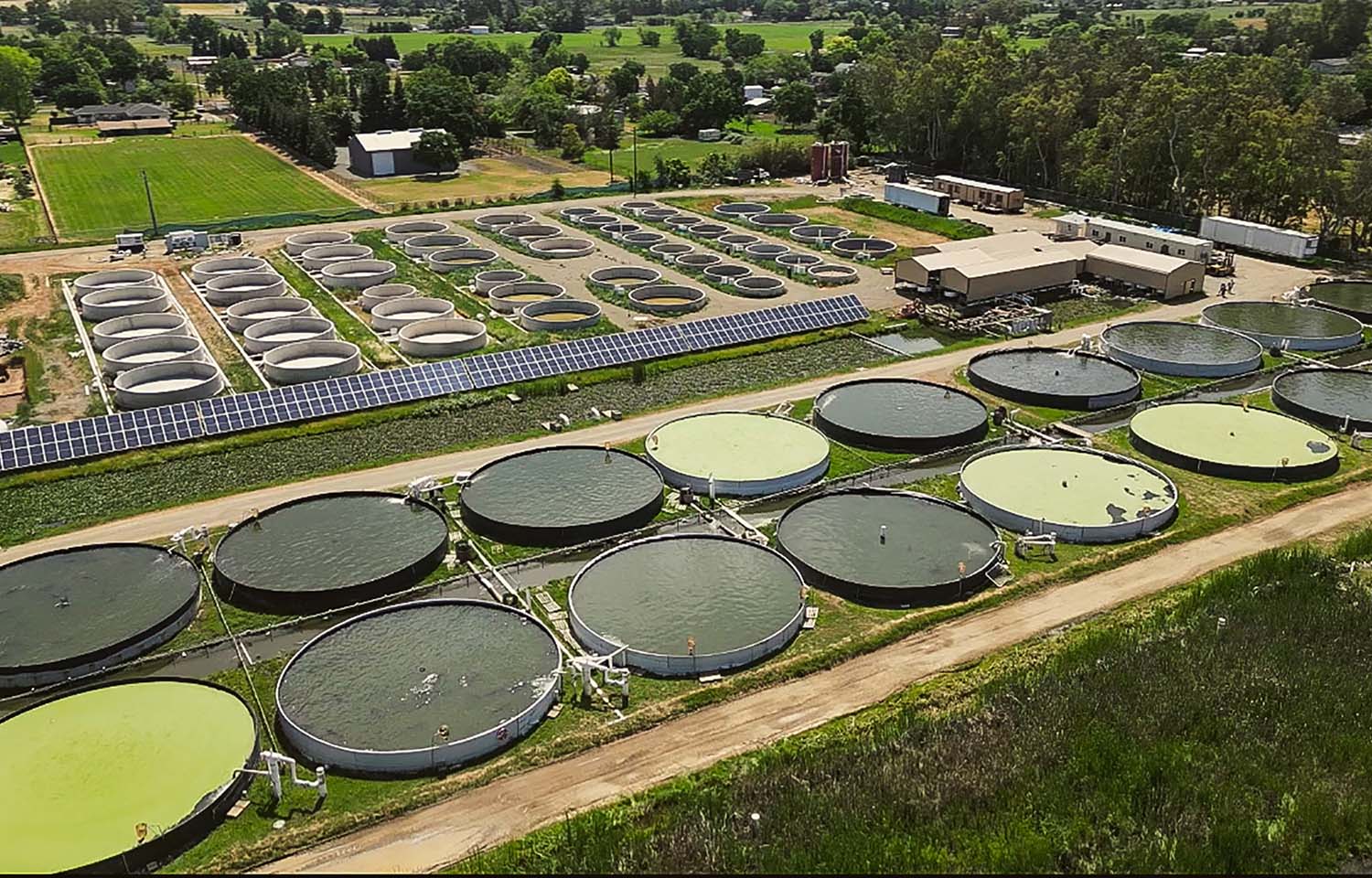 Tsar Nicoulai Caviar acquires Sterling Caviar, creating largest caviar ...