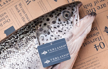 AquaChile’s Verlasso brand achieves carbon neutrality | SeafoodSource