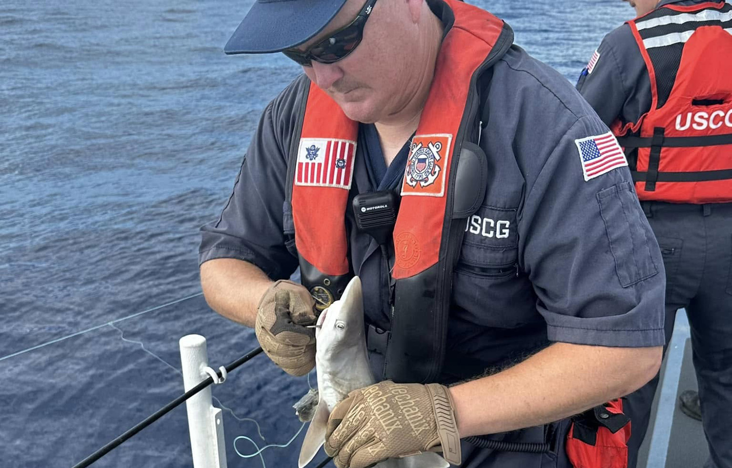 US Coast Guard removes illegal fishing gear that snared snappers ...