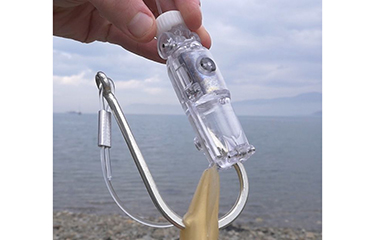 New Zealand supports Hookpod for sea-bird bycatch solution | SeafoodSource