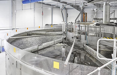 Blue Aqua International receives funding from Oman-based Muscat ...