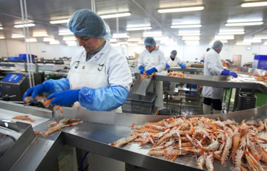 Macduff exec: Wounded UK shellfish sector must adapt to post-Brexit ...