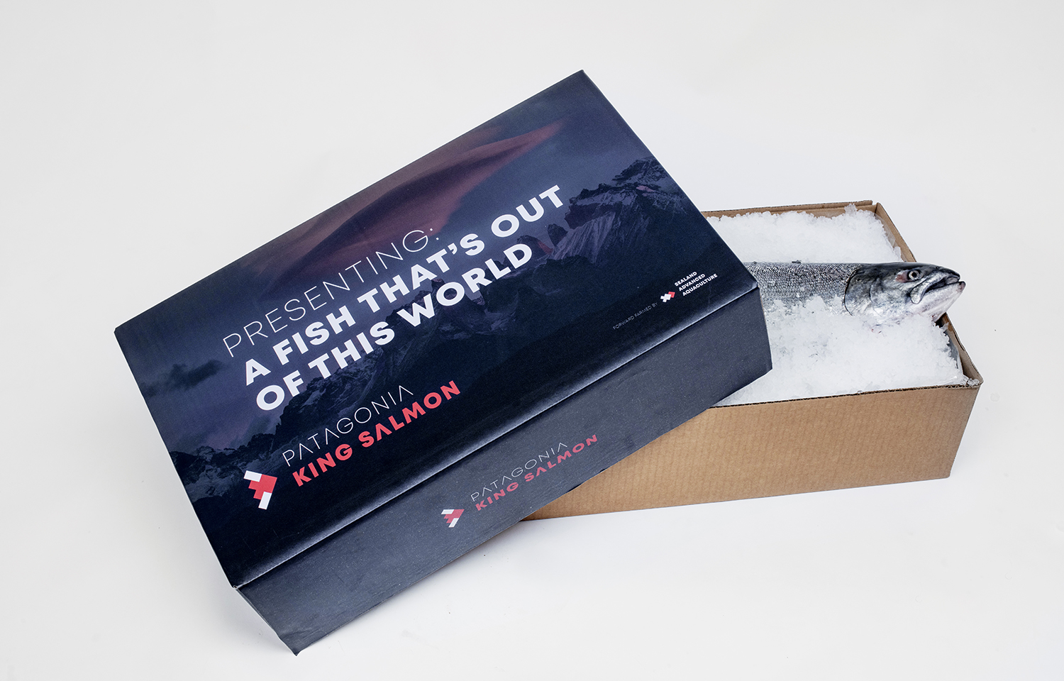 Wheeler Seafood debuts Patagonia king salmon after being named its ...