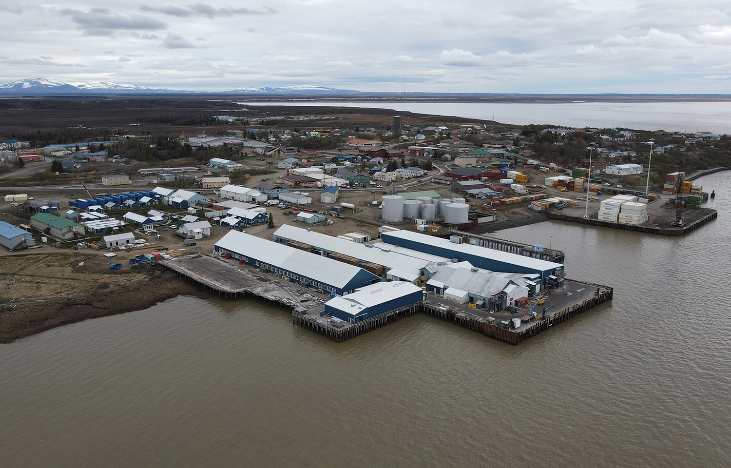 Antarctica Advisors: Seafood sector is primed for M&A activity in 2025 ...