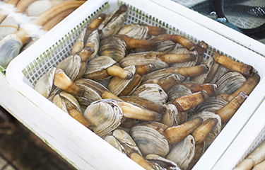 Lawsuit filed in ongoing battle over Washington shellfish permits ...