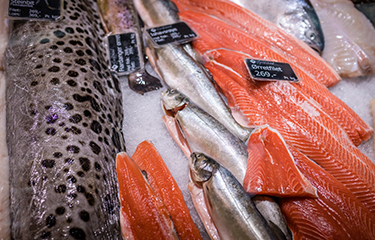 Norwegian salmon prices continue to inch downwards | SeafoodSource