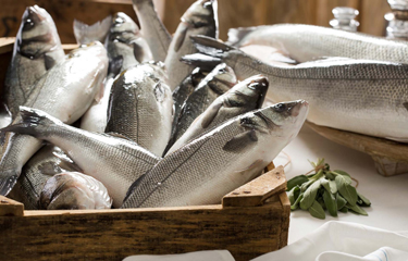 Grupo Profand buys into Kefalonia Fisheries | SeafoodSource