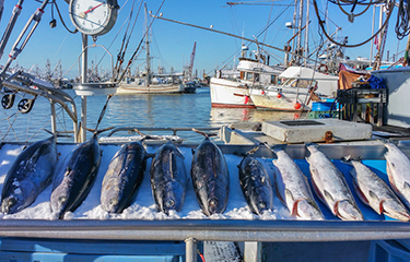 Demand rising for seafood from British Columbia | SeafoodSource