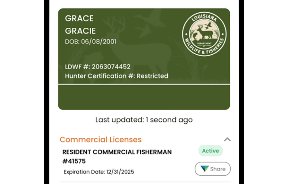 Louisiana makes commercial fishing licenses available via mobile app ...