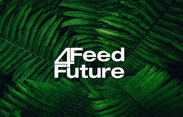 Skretting Italy launches new carbon-neutral feed concept | SeafoodSource