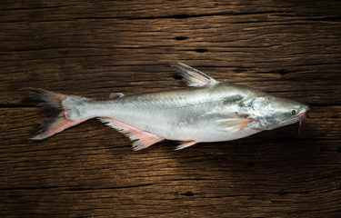 Vietnam boosting pangasius exports to China as sales to US tumble ...