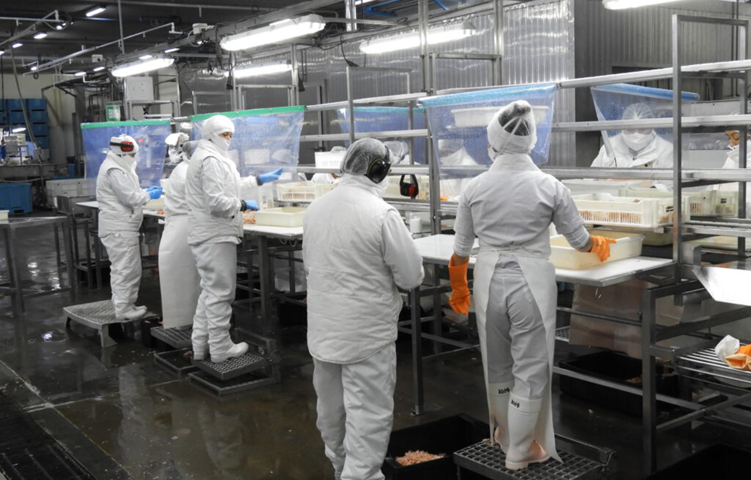 Profand reaches agreement to lease and operate former Alpesca facility ...