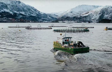 Norwegian cod farmer Statt Torsk begins “industrial-scale” production ...