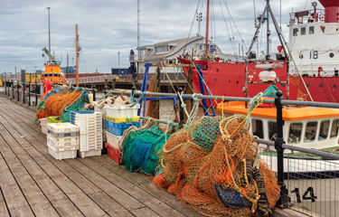 UK seafood industry irked by latest Good Fish Guide | SeafoodSource