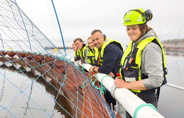 Norcod Q3 report shows company remains on track to harvest first fish ...