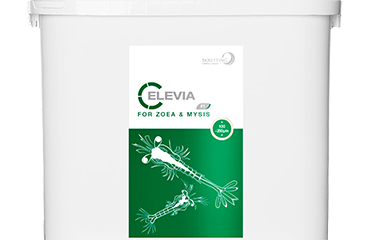 Skretting introduces Elevia shrimp feed for hatcheries | SeafoodSource